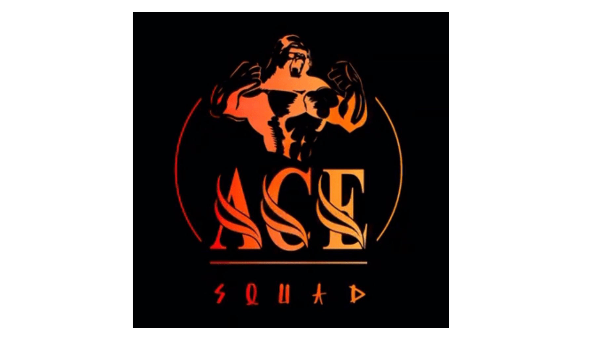 ACE CUP 2025 Raises the Bar for French Streetlifting - FinalRep